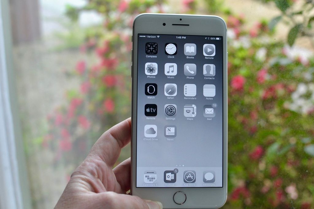 Did your iPhone or Apple Watch screen just turn gray? Here's the fix ...