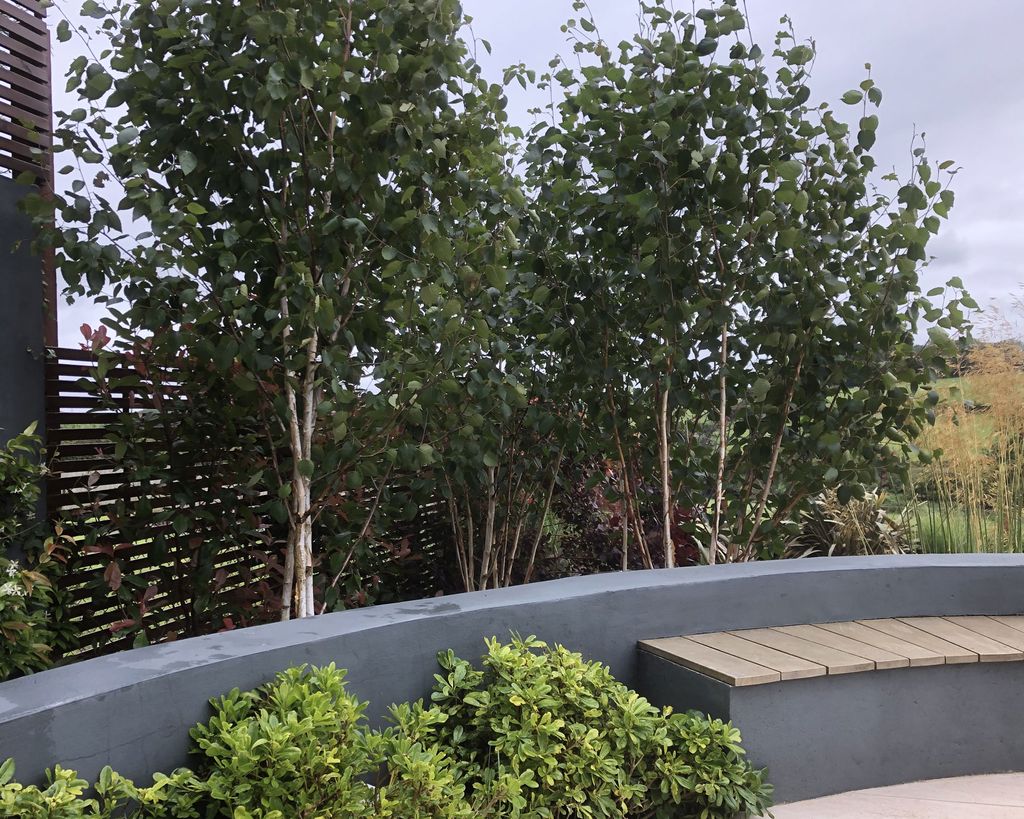 Landscaping ideas - 12 clever ways to design a cohesive look | Livingetc