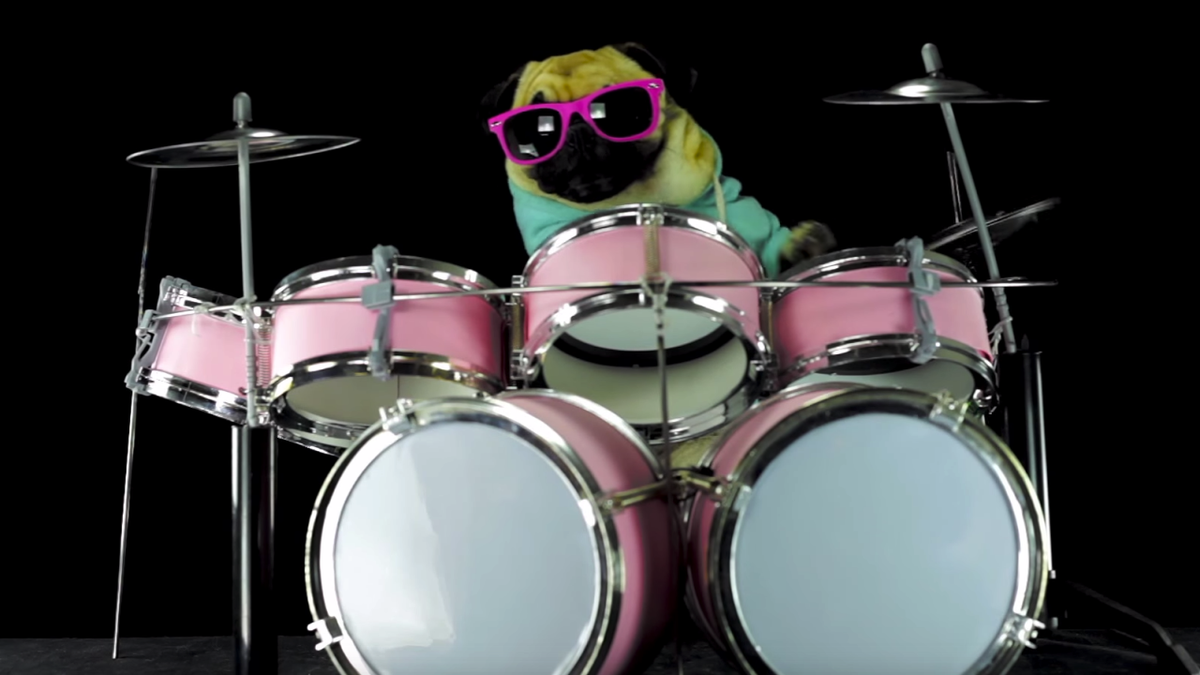 This is a video of a pug playing Enter Sandman | Louder