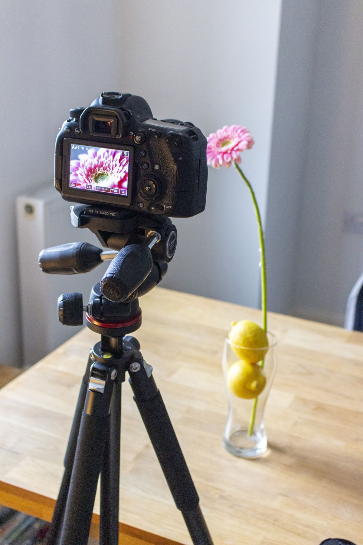Cheap tricks and camera hacks to creative amazing floral shots at home ...