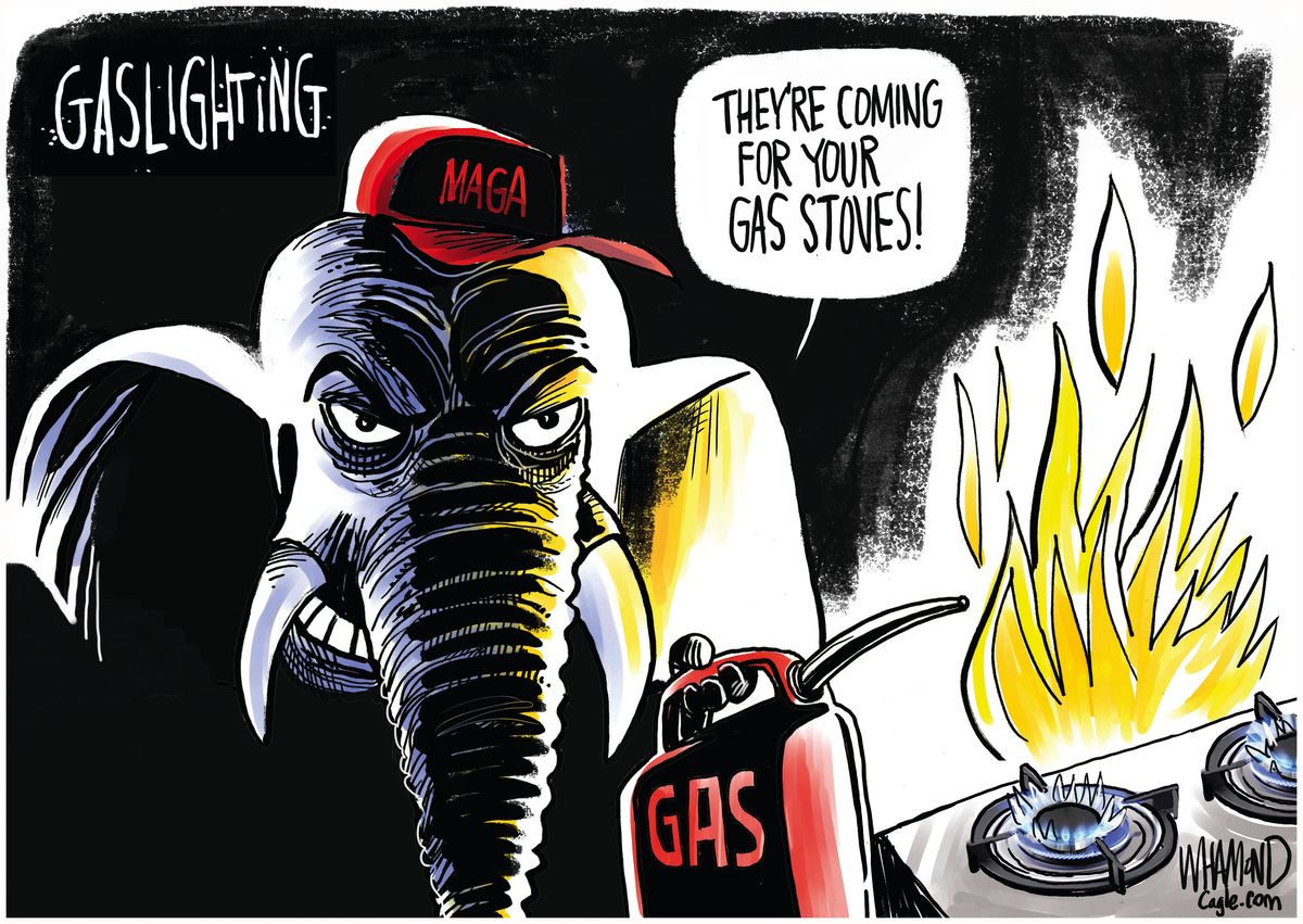 Gaslighting gas stoves | The Week