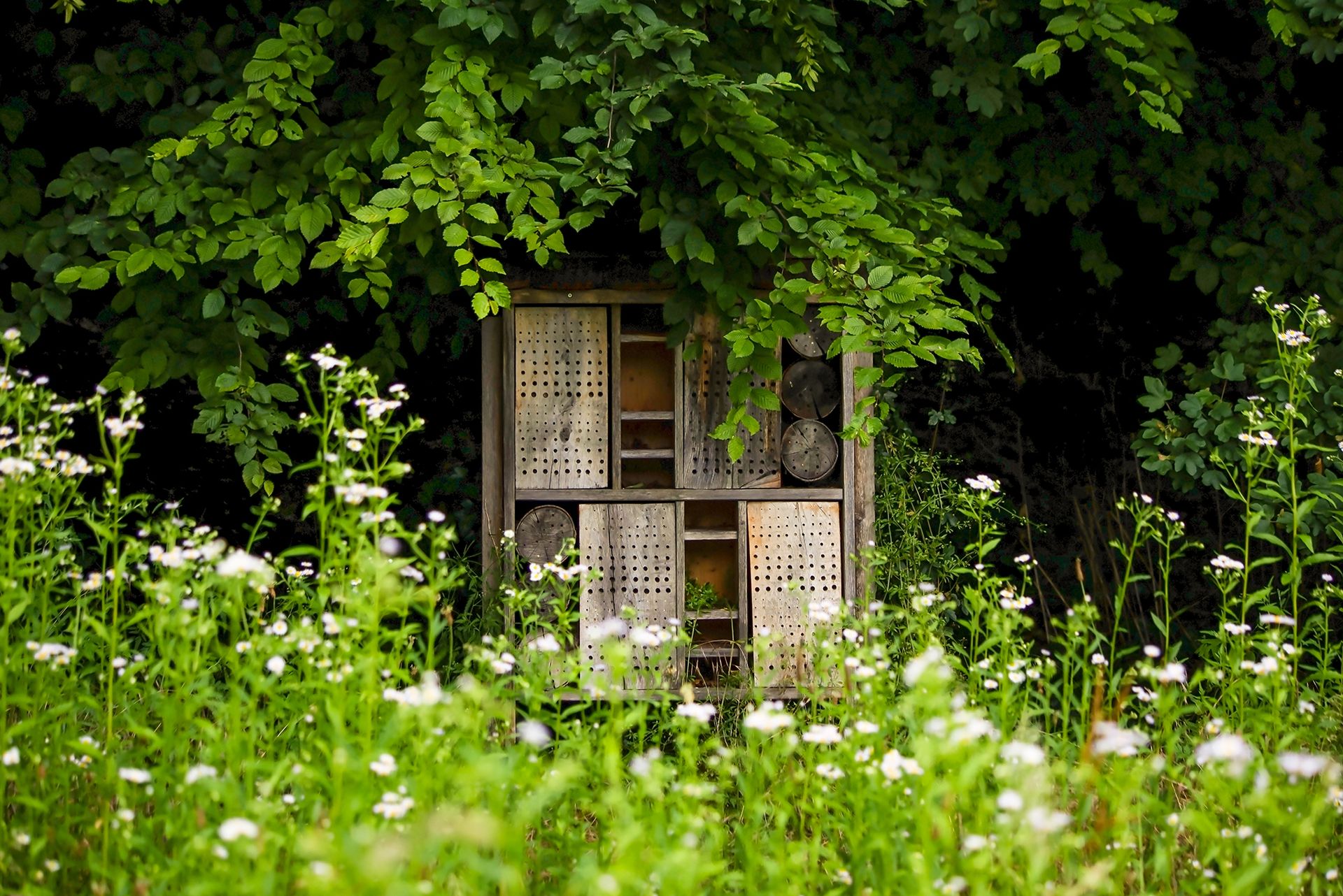 How to make a bug hotel: to attract pollinators | Homes and Gardens