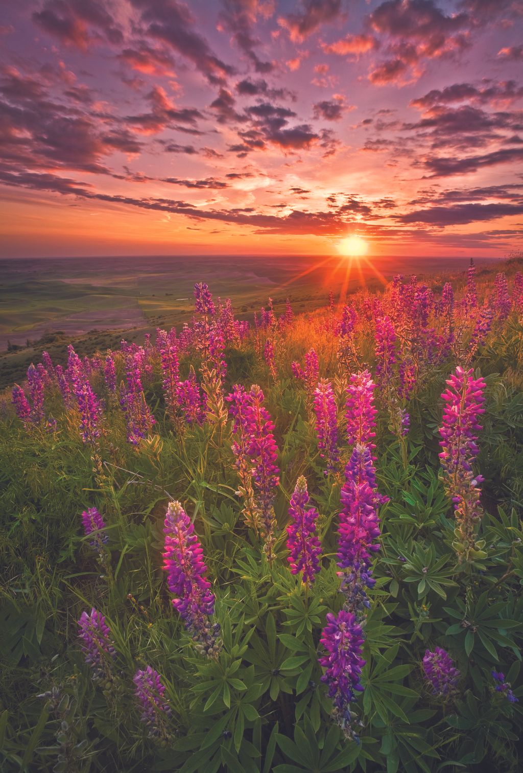 Learn how to unlock stunning natural colors in your photos | Digital ...