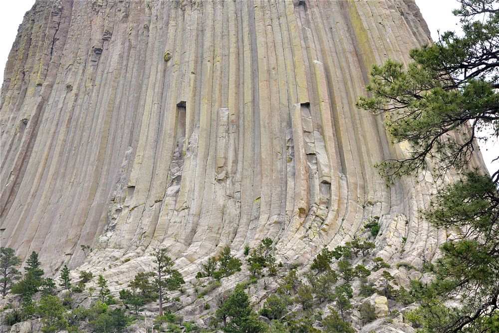 Devils Tower: See Photos of Wyoming's Unique Rock Formation | Live Science