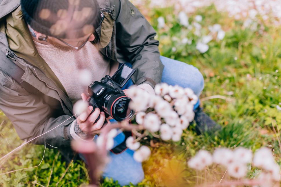 Raw vs JPEG: 8 reasons to shoot JPEGs over Raw files | Digital Camera World