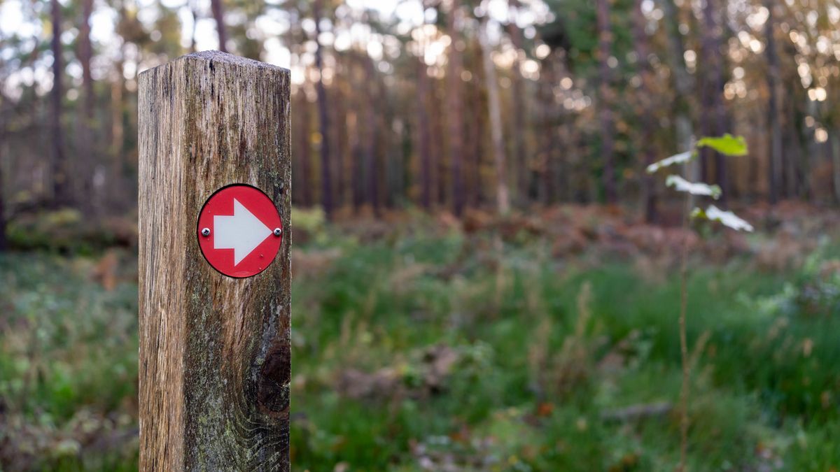 Hiking trail signs: what they mean and how to use them | Advnture