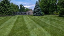 Can you over-fertilize a lawn? – the risks revealed | Homes and Gardens