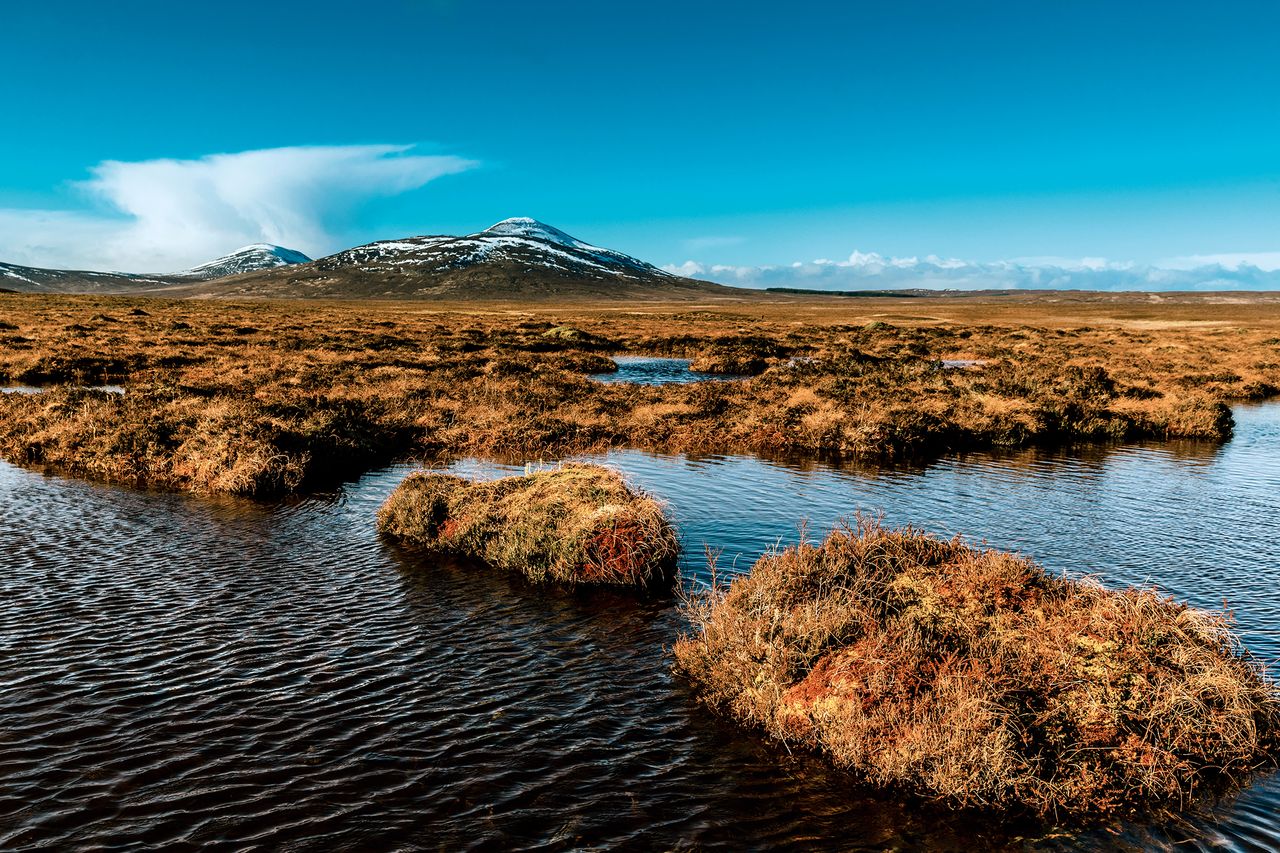 The Bogs of Britain, from 'godforsaken wasteland full of dangers' to ...