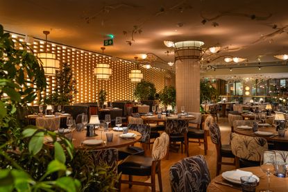 The BoTree reveals interiors that burst with life | Wallpaper*