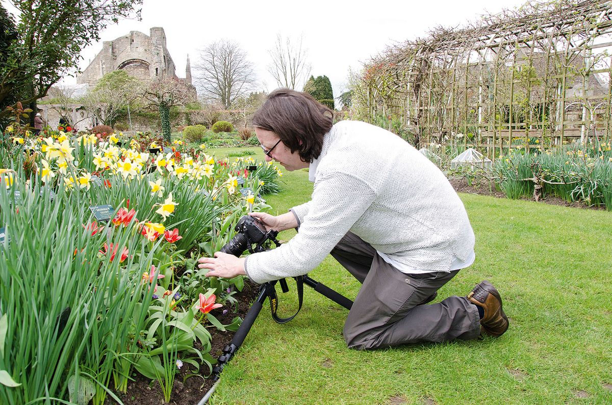 How to use extension tubes for low-cost macro photography | Digital ...