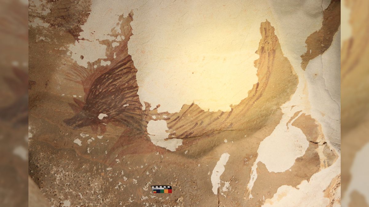 Warty pig is oldest animal cave art on record | Live Science