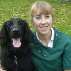 Manx cat: Breed profile and information | PetsRadar