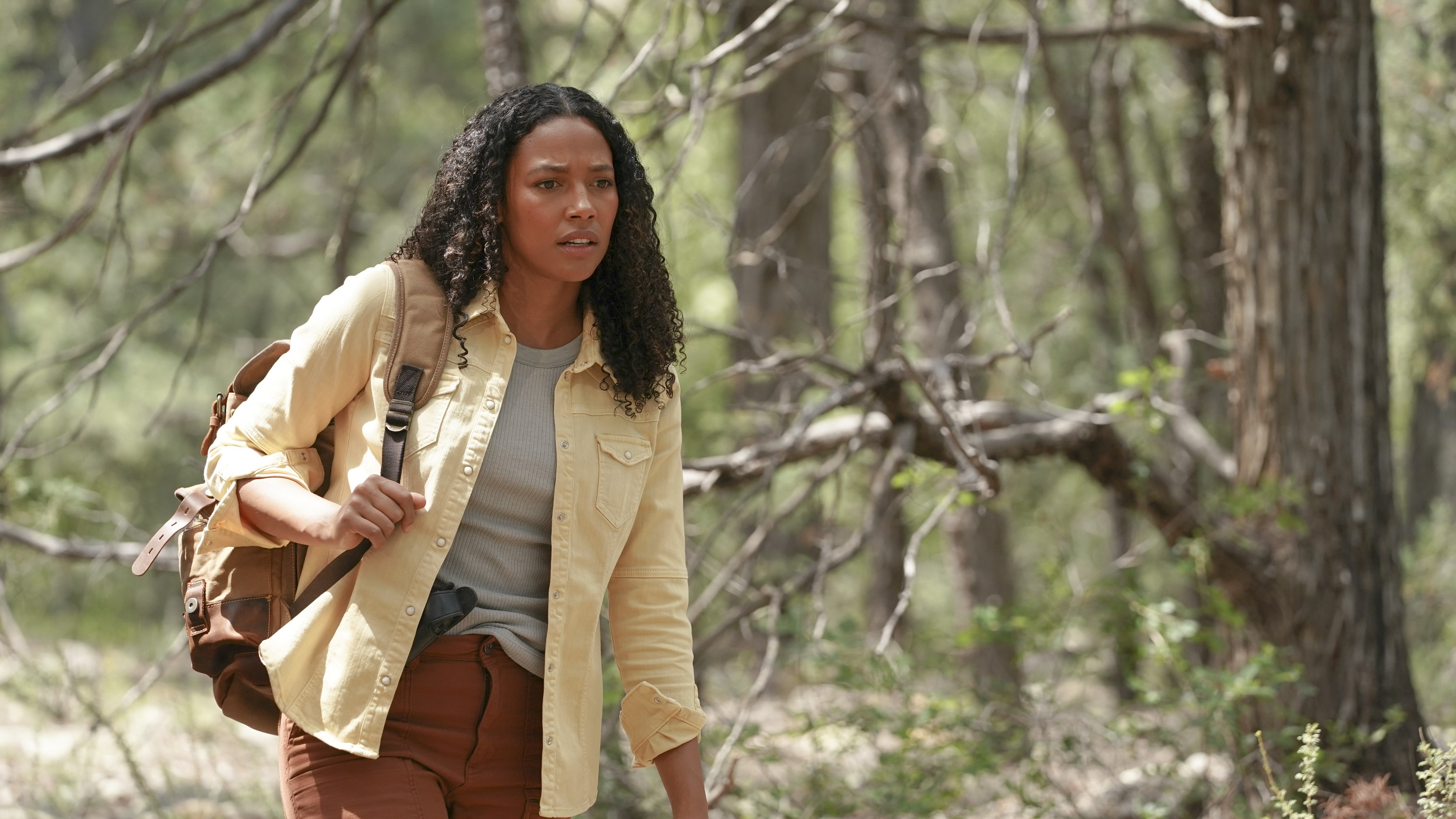 Big Sky Season 3 Episode 9 Cassie Puts The Pieces Together What To Watch Big Sky Season 3 Episode 9 Cassie Puts The Pieces Together What To Watch