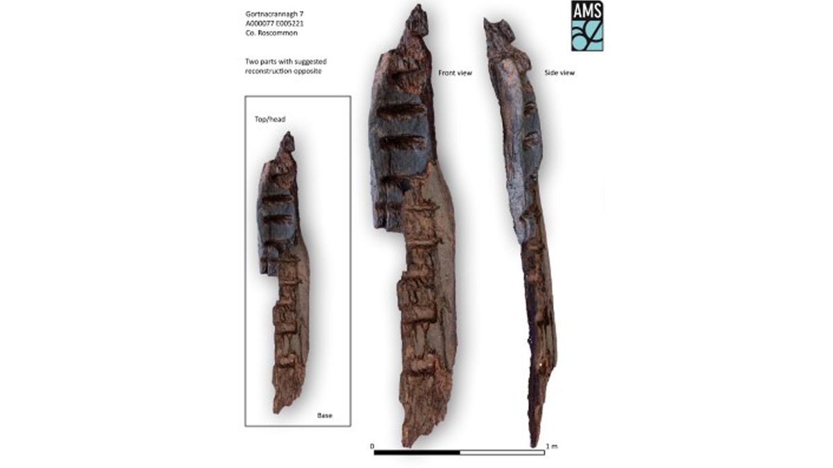 8-foot-tall pagan idol unearthed in Irish bog | Live Science