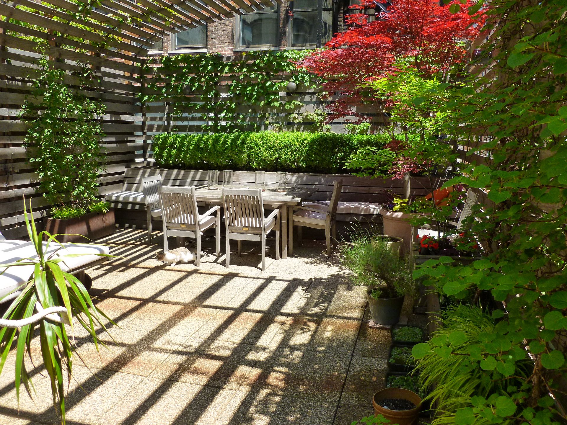 Terrace garden ideas to elevate an urban space | Livingetc