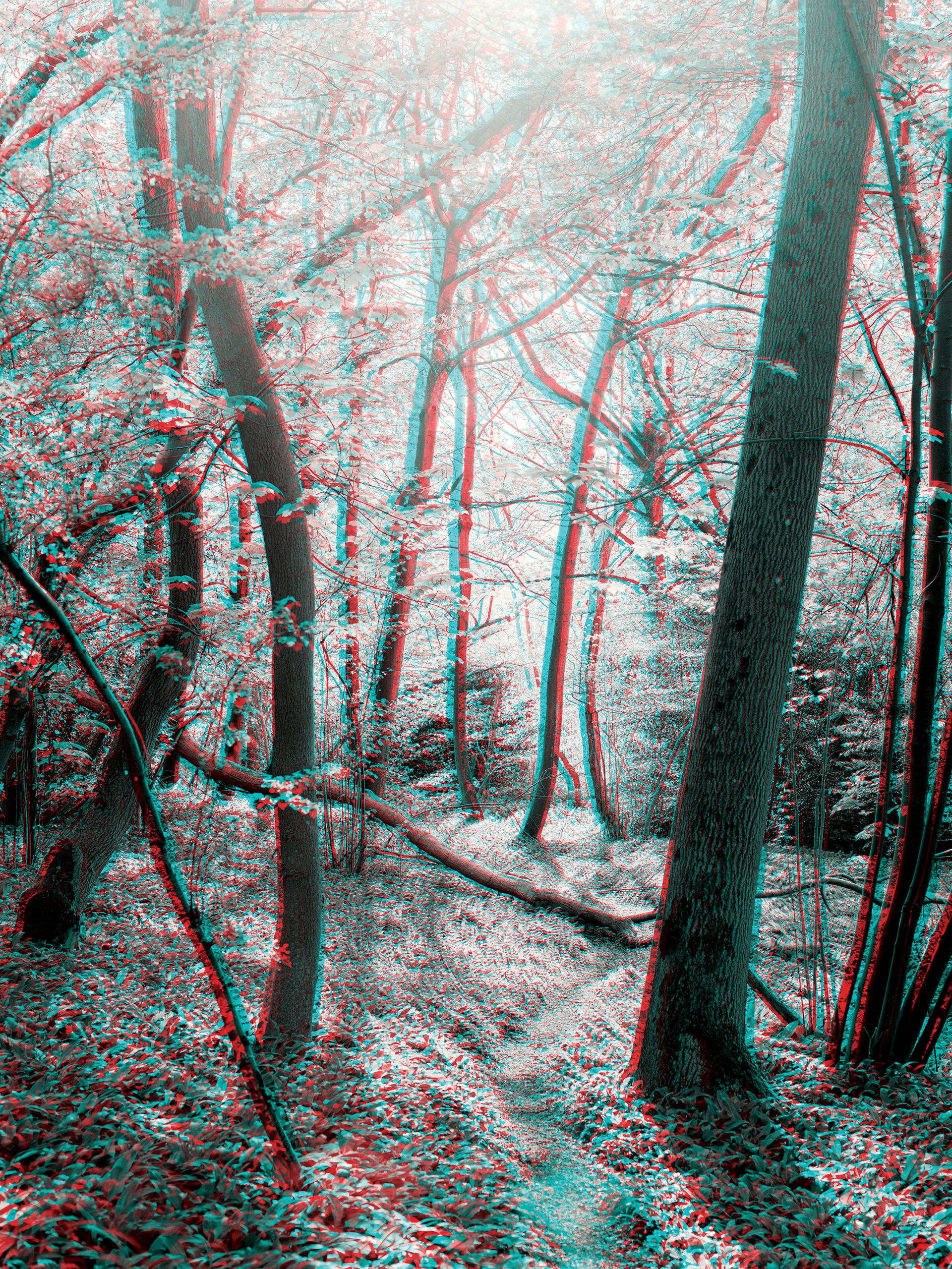 The art of seeing #30: Get stuck into stereoscopic imaging | Digital ...