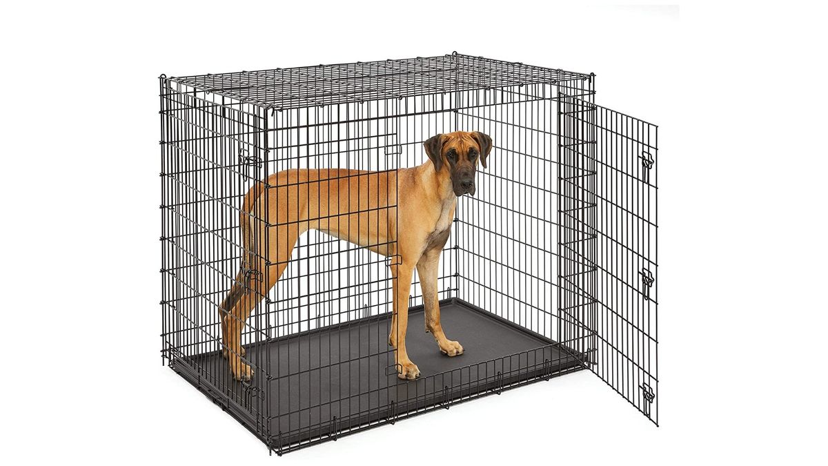 Best large dog crates: Roomy retreats for your big breeds | PetsRadar