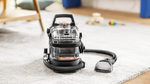 Does a steam cleaner get rid of fleas? Yes, here's how | Homes and Gardens
