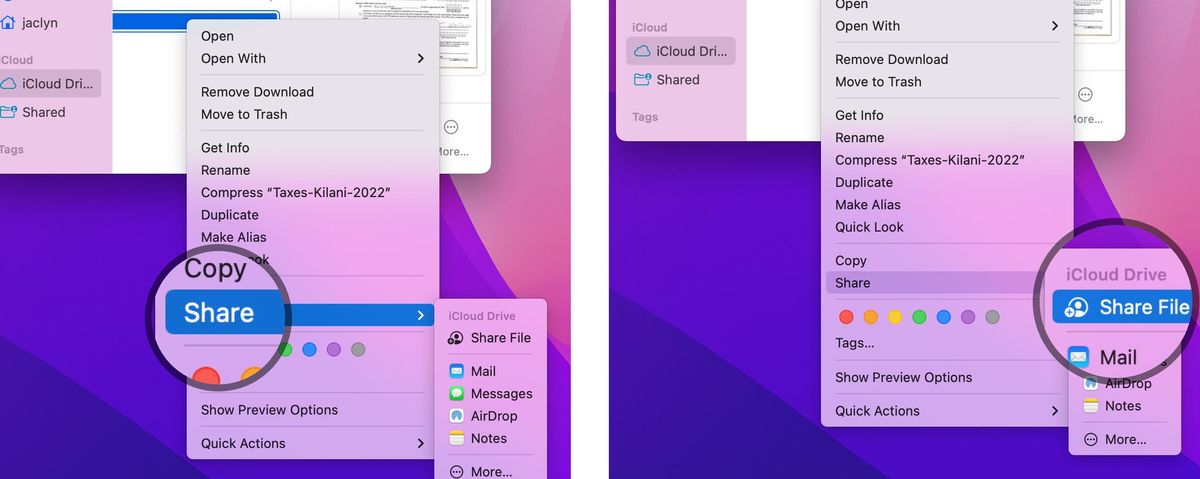 How to share a document using the Files app and iCloud Drive on iPhone ...