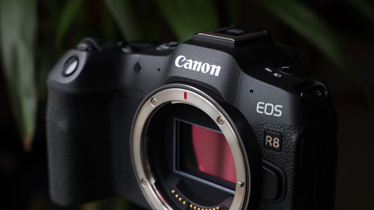 The cheapest full-frame cameras | Digital Camera World