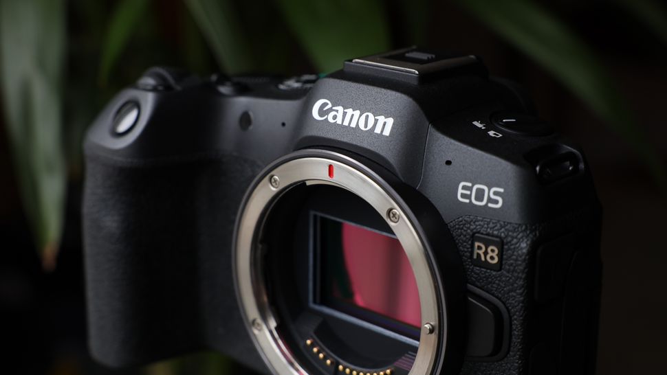 The cheapest full-frame cameras | Digital Camera World