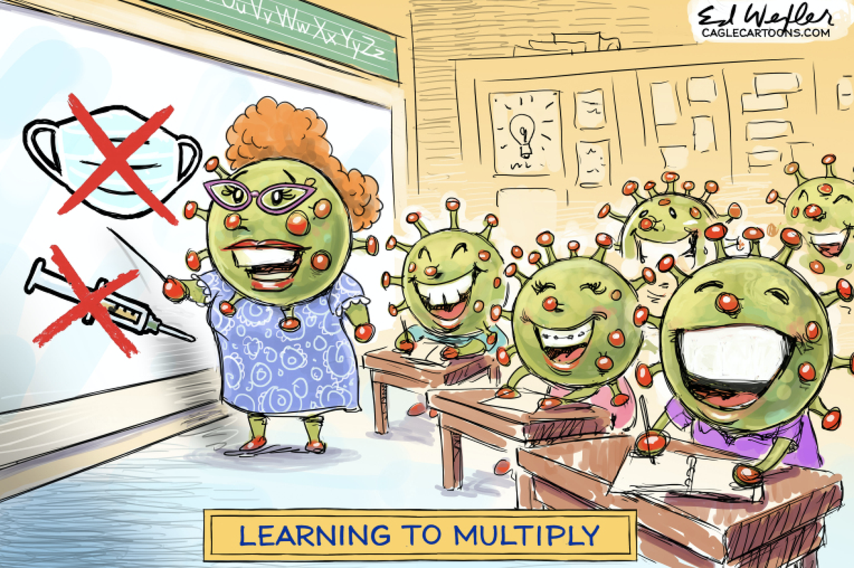 corona mathematics | The Week