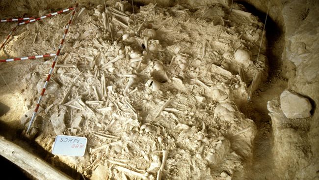 5,000-year-old mass grave of fallen warriors in Spain shows evidence of ...