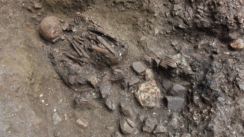 Newly discovered 'ghost' lineage linked to ancient mystery population ...
