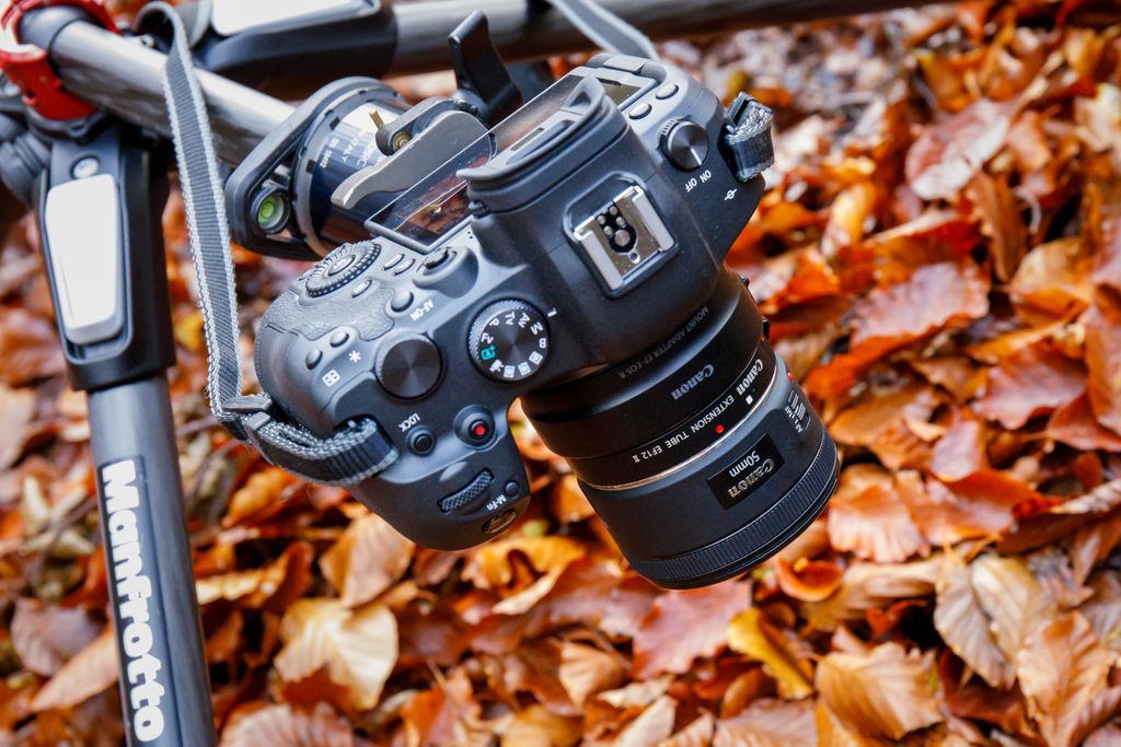 Are Canon's EF lenses good enough for modern mirrorless cameras ...