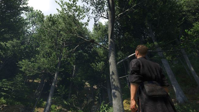 Valheim onion seeds guide: Where to find them | PC Gamer