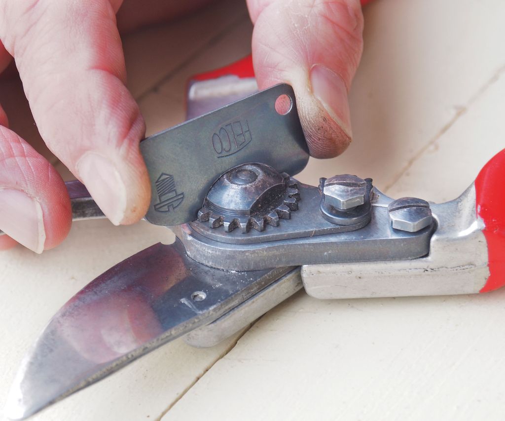 How to clean pruning shears: expert tips for pristine tools | Homes and ...