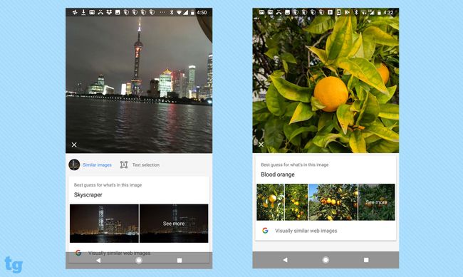 Google Lens Guide: What You Can Do with This Powerful AI Feature | Tom ...