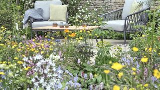 How to pinch out cosmos and get more flowers from your plants | Homes ...