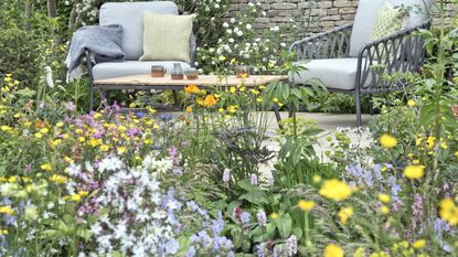 How to pinch out cosmos and get more flowers from your plants | Homes ...