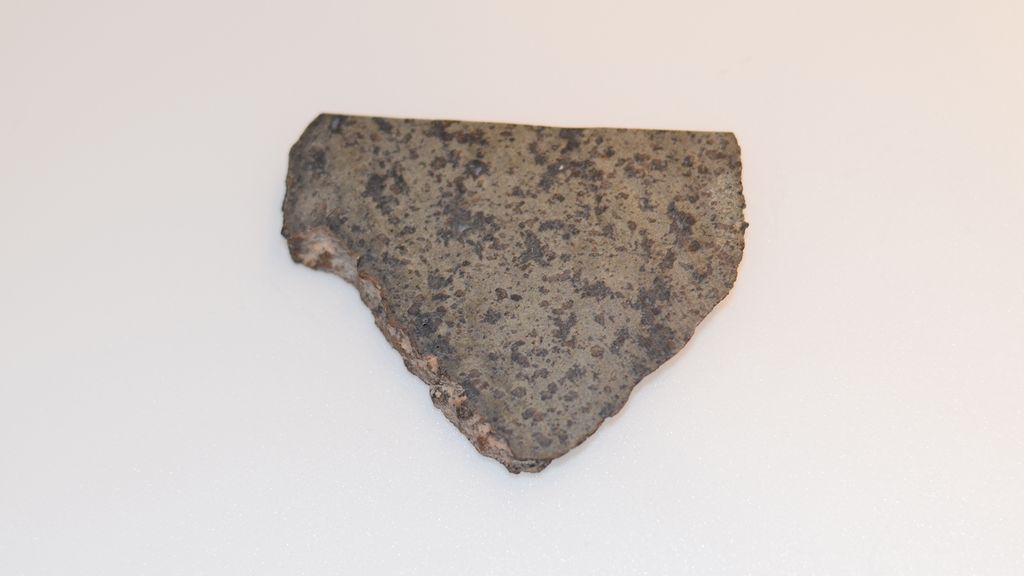A Martian meteorite is going home, in NASA's Perseverance mission ...