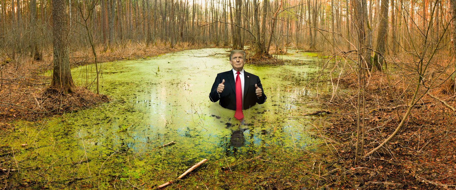 How's that swamp draining going? | The Week