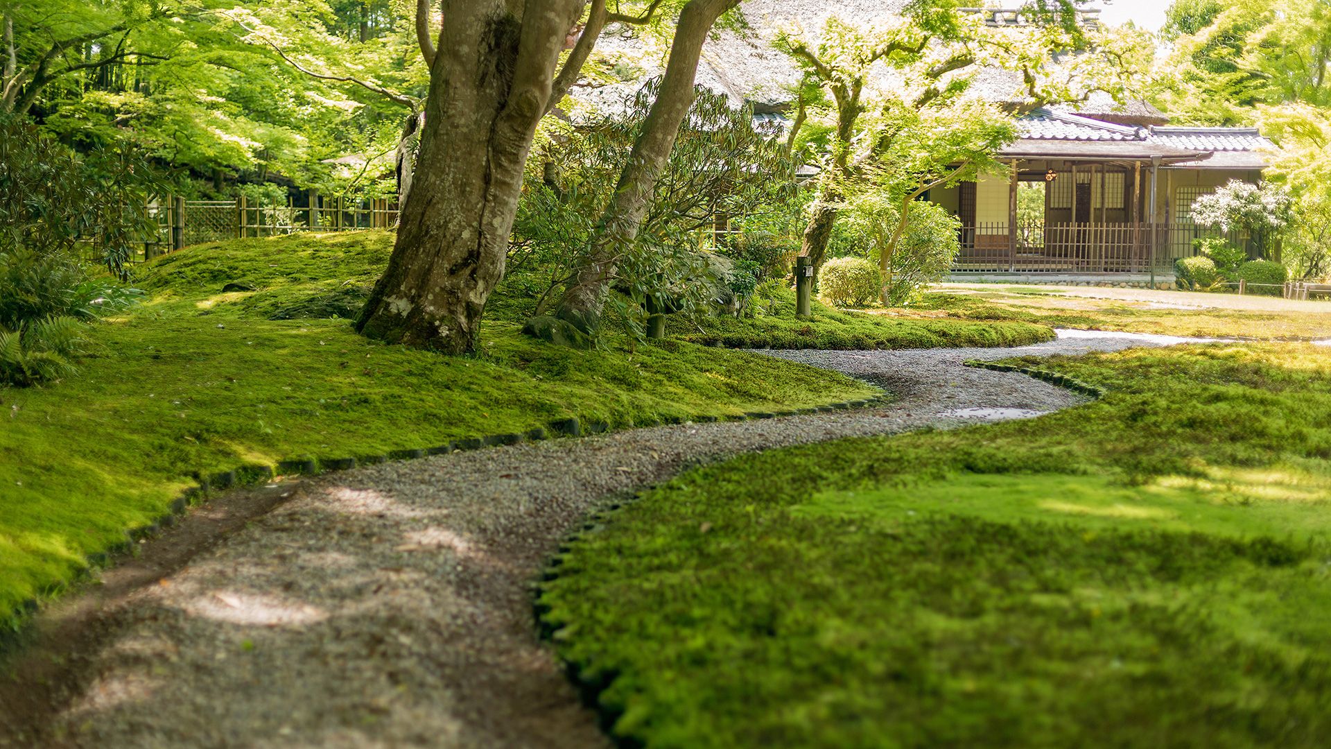 Moss garden: a guide to growing moss in your garden | Homes and Gardens