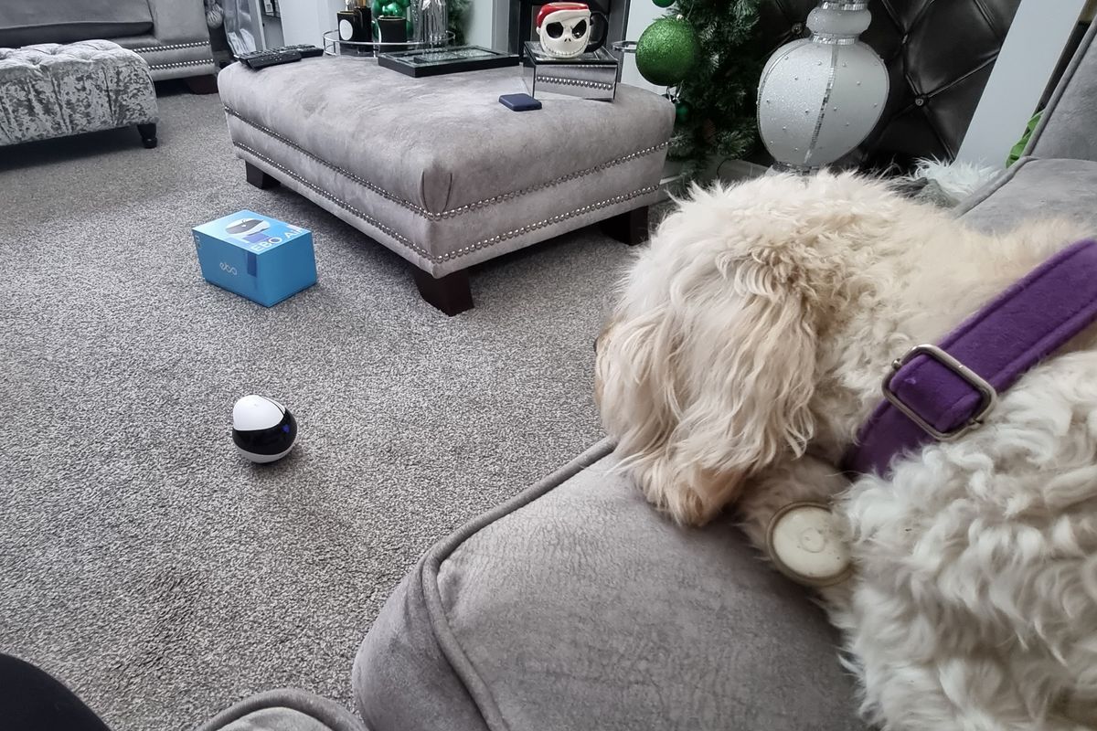 Enabot EBO Air review: An adorable robot pet camera | Digital Camera World