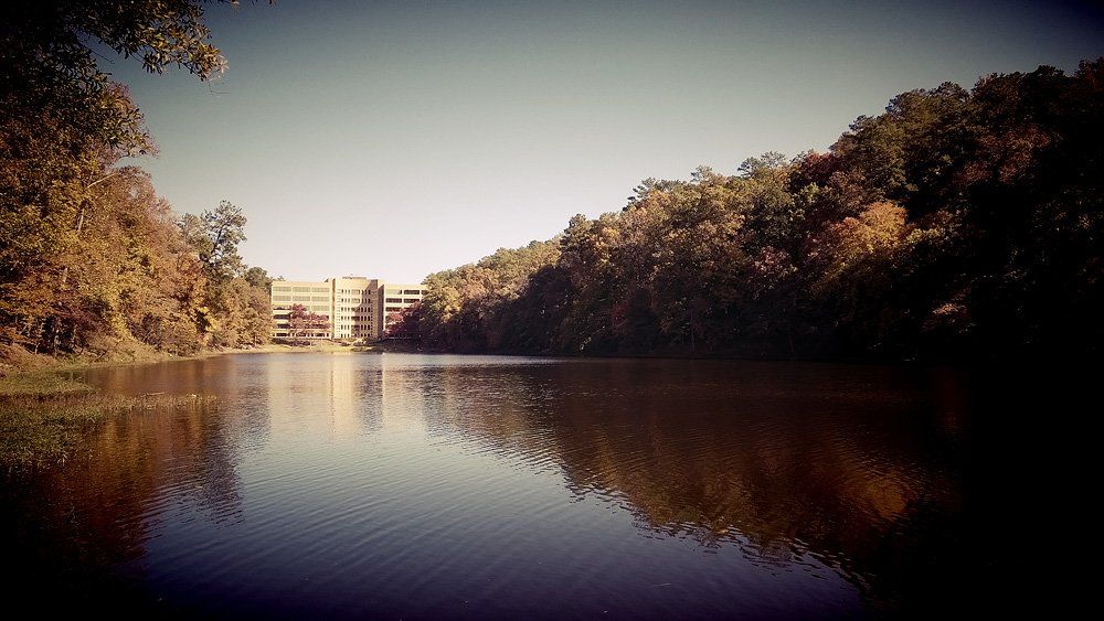 Camera360Pro Review, a deceptively feature rich Windows Phone camera ...