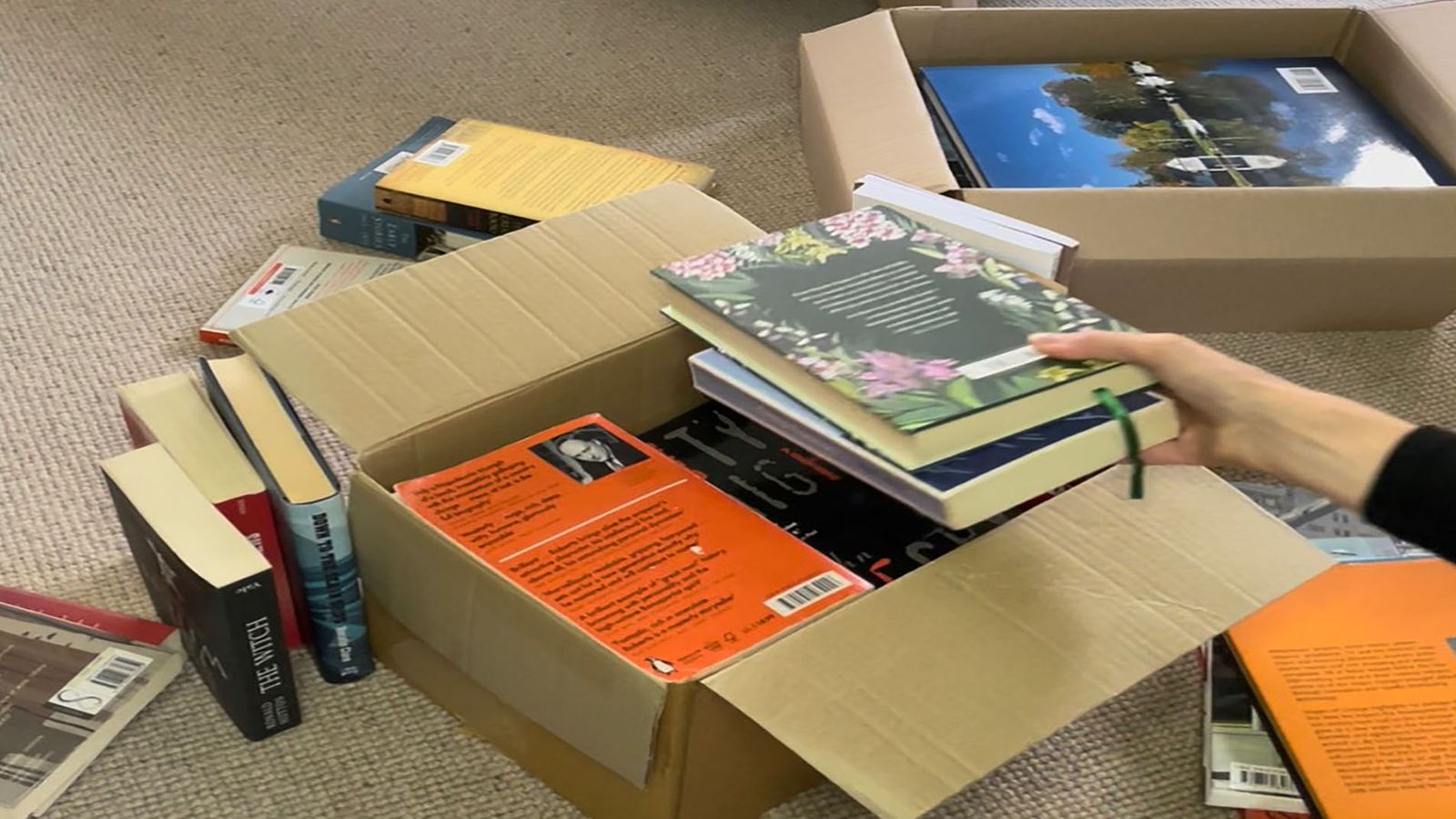 How to declutter books: 10 tips to streamline bookshelves | Woman & Home