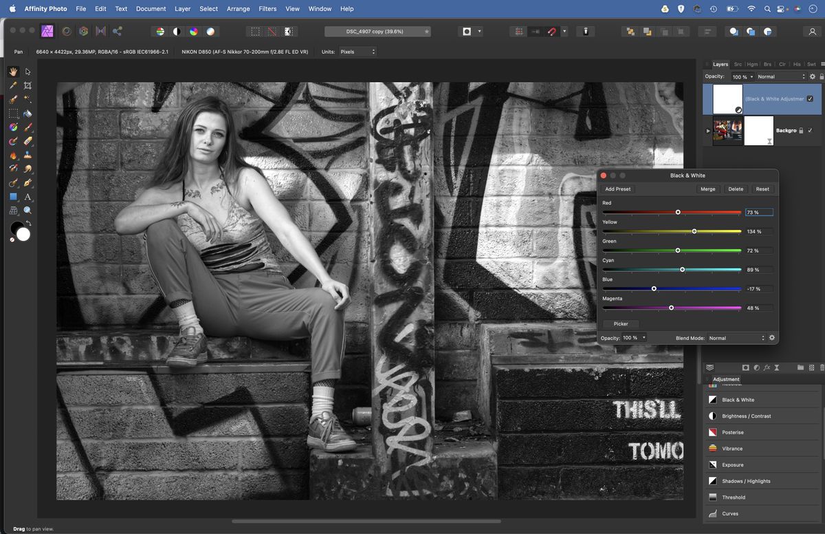 Try these FREE tinting treatments to master monochrome in Affinity ...