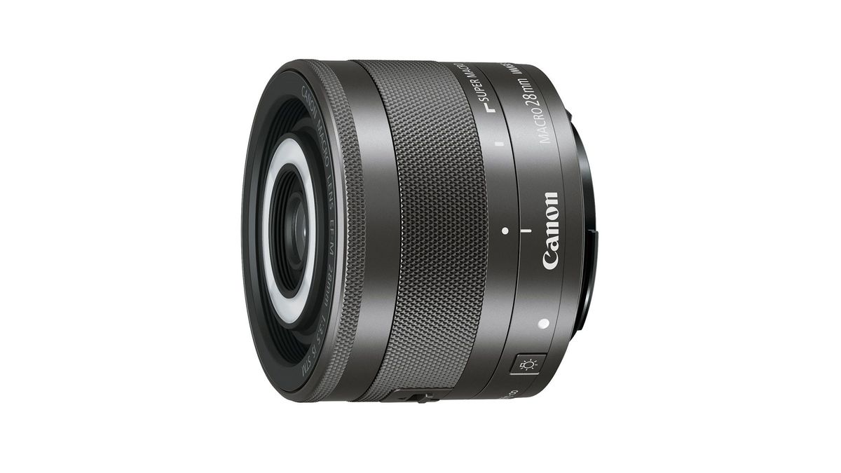 The best macro lenses in 2023 | Digital Camera World