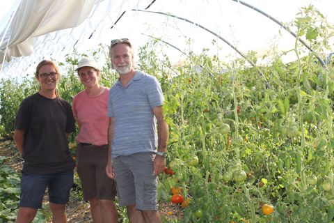 Marcus Wareing’s Tales From A Kitchen Garden season 2 guide | What to Watch