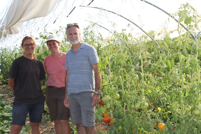 Marcus Wareing’s Tales From A Kitchen Garden season 2 guide | What to Watch