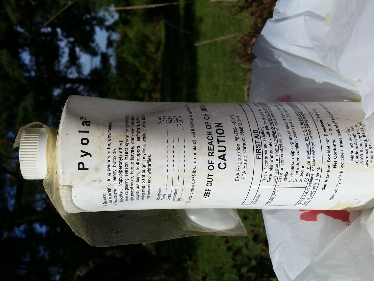 Pyola Insect Spray - Information On Pyola Garden Use | Gardening Know How
