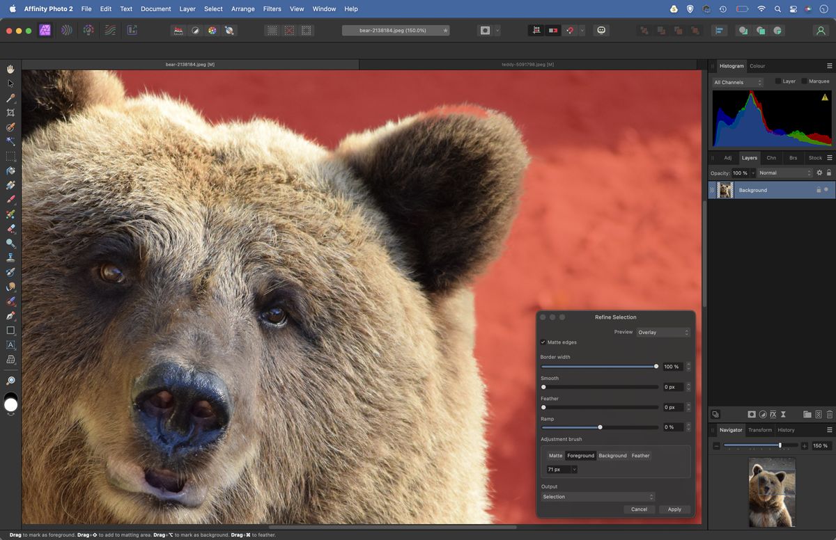 Get ‘beary’ creative with cute composites in Affinity Photo | Digital ...