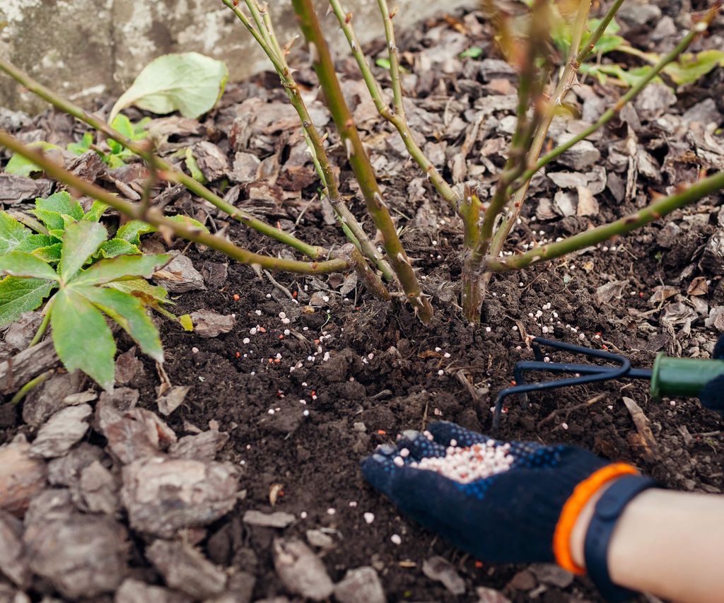 Fertilizer storage mistakes: pros reveal 7 storage missteps | Homes and ...