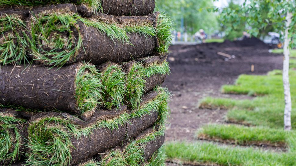 How to lay sod and upgrade your yard | Tom's Guide