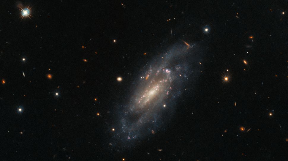 Hubble telescope captures stunning shot of spiral galaxy (photo) | Space