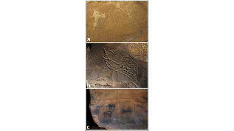 Largest known cave art images in US by Indigenous Americans discovered ...